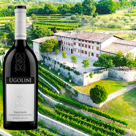 Ugolini - Artisan Amarone and Valpolicella Wines – Italian Wine Store